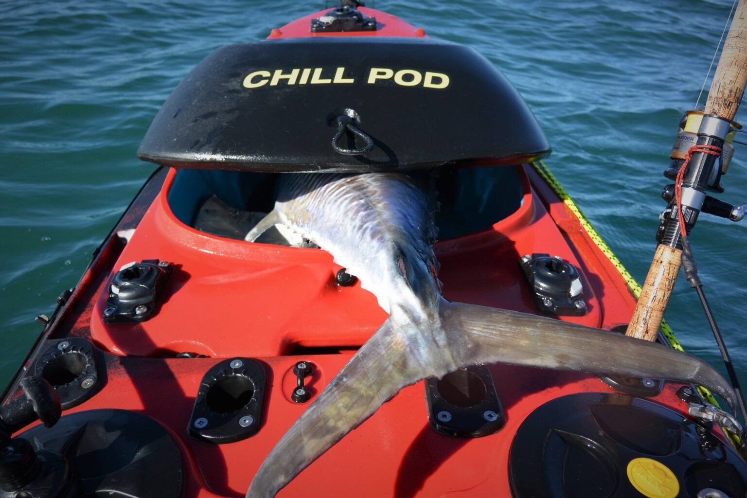 Viking Profish Reload Premium Offshore Kayak | Ultimate Fishing